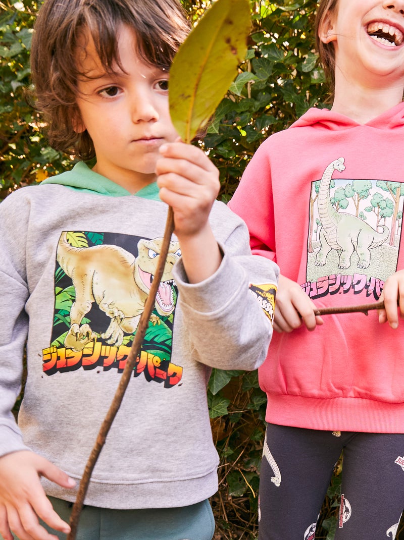 Sweatshirt com capuz 'Parque Jurássico' - Cinza - 12.00€ - Kiabi